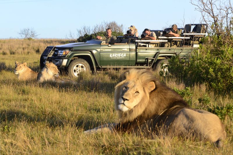 Perfect the Art of Wonder in South Africa | Lexpert Perfect the Art of Wonder in South Africa | Lexpert